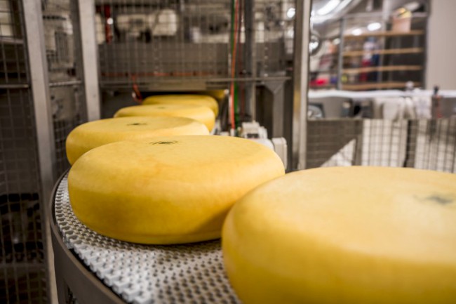 Cheese moulds for Jarlsberg, Gruyere, Manchego, Parmesan and Emmentaler